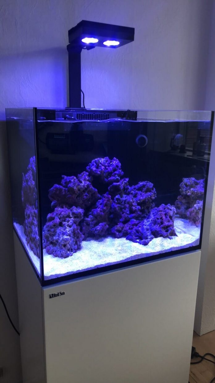 Red Sea Reefer 170 Deluxe - Salt I Blodet